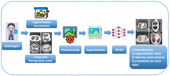A Method for Real-Time Lung Nodule Instance Segmentation Using Deep Learning