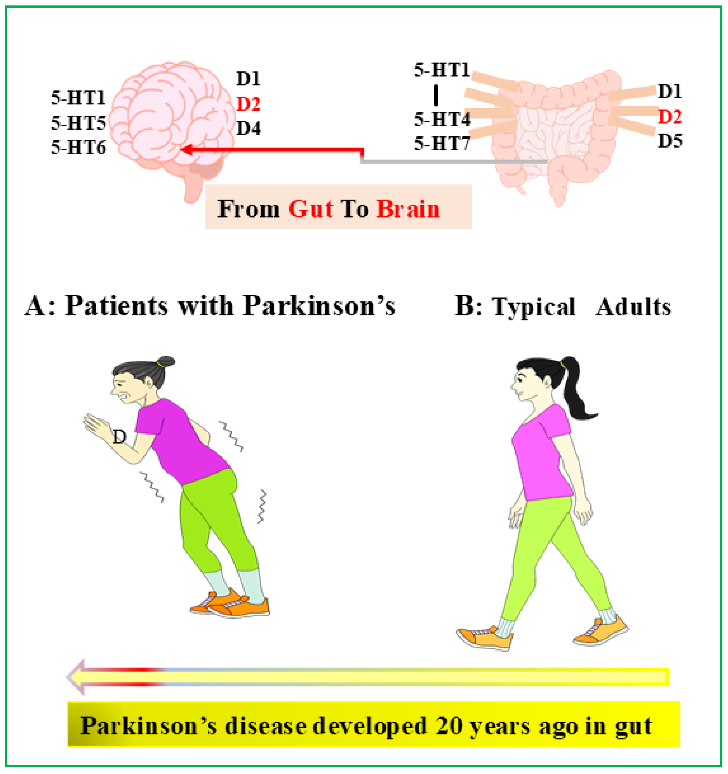 New Role of the Serotonin as a Biomarker of Gut–Brain Interaction