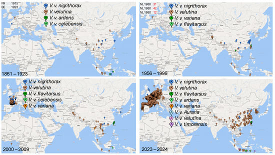Phylogeographic Analysis for Understanding Origin, Speciation, and ...