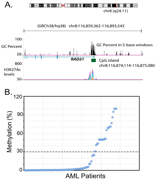 Cohesin RAD21 Gene Promoter Methylation in Patients with Acute Myeloid ...