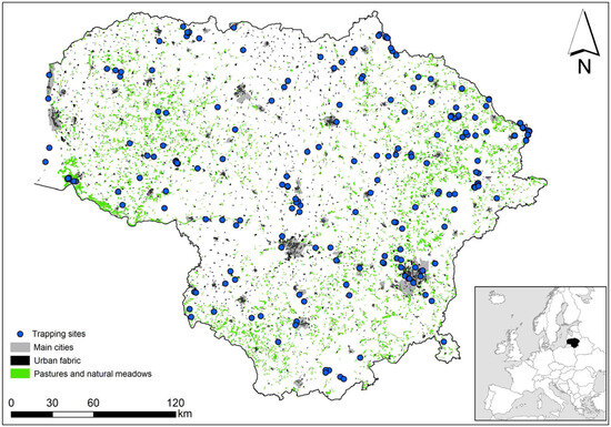 The Long-Term Dynamics of Shrew Communities: Is There a Downward Trend?