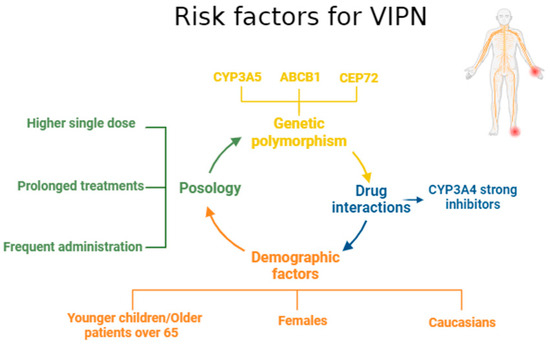 Unlocking New Therapeutic Options for Vincristine-Induced Neuropathic ...