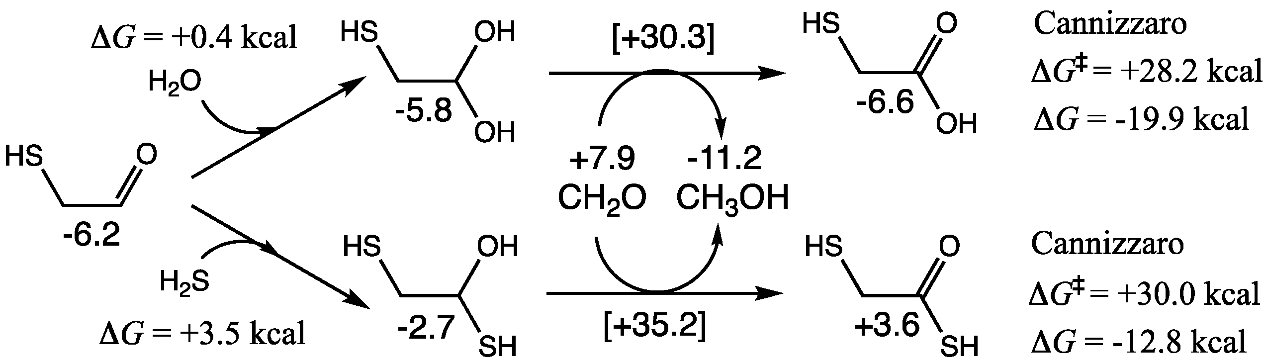 Sulfur Analogs of the Core Formose Cycle: A Free Energy Map