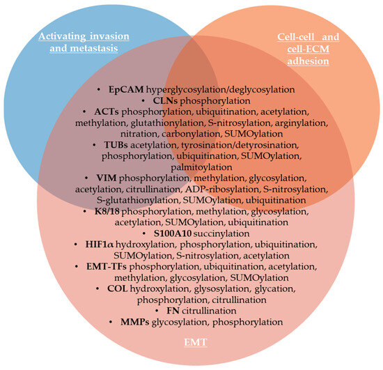 Post-Translational Modifications of Proteins Orchestrate All Hallmarks of Cancer
