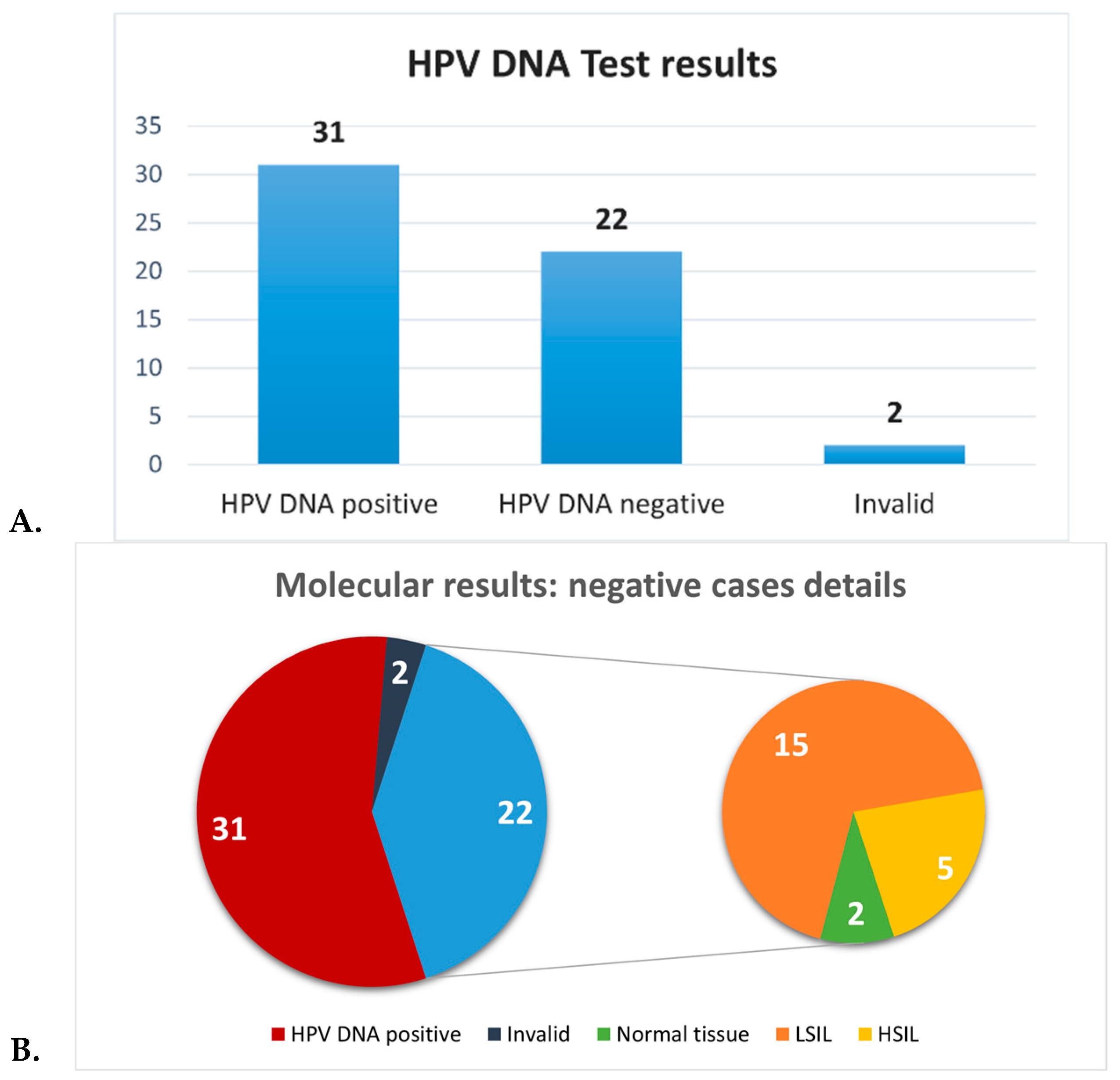 Evaluating HPV Viral Load and Multiple Infections for Enhanced Cervical Cancer Risk-Based Assessment