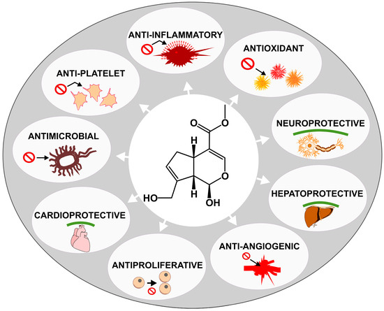 Genipin—Simple but Significant Bioactive Iridoid for Therapeutical ...