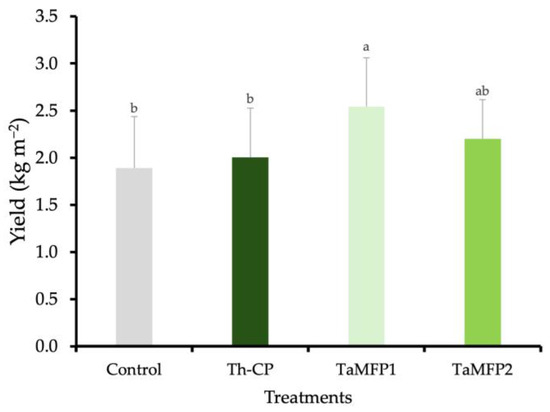 Biostimulant Effects of Trichoderma asperellum in Hydroponic Spinach Production