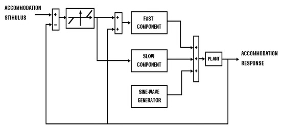 Visual Dysfunctions in Mild Traumatic Brain Injury: A Focus on ...