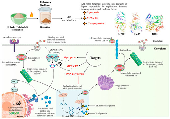 Evaluating the Antiviral Potential of Polyherbal Formulation (Kabasura ...