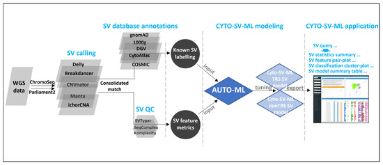 CYTO-SV-ML: A Machine Learning Tool for Cytogenetic Structural Variant ...