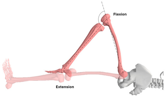 Normative Knee Range of Motion for Children