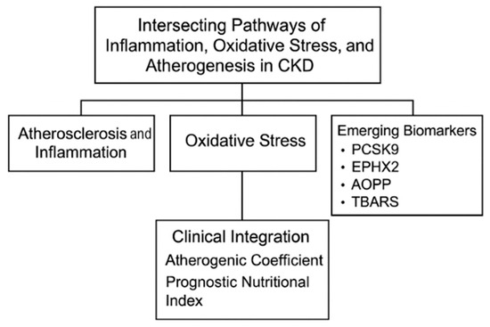 Intersecting Pathways of Inflammation, Oxidative Stress, and ...