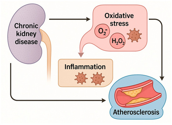 Intersecting Pathways of Inflammation, Oxidative Stress, and ...