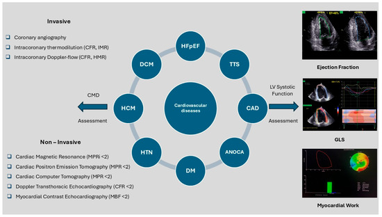 Impaired Coronary Microcirculation and Myocardial Systolic Function: A ...