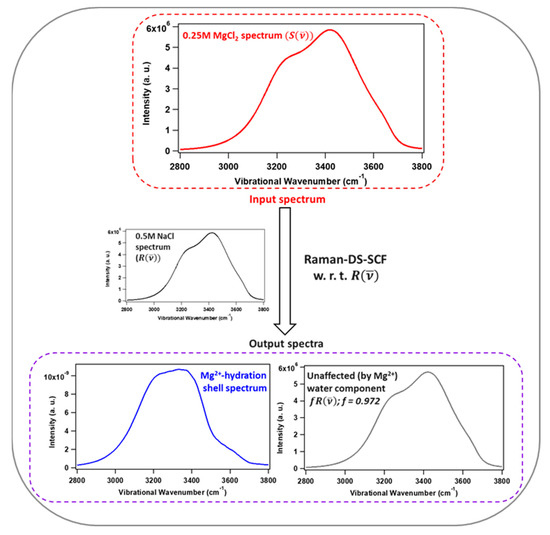 Liquids | Free Full-Text | Vibrational Raman Spectroscopy of the Hydration Shell of Ions