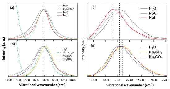 Vibrational Raman Spectroscopy of the Hydration Shell of Ions