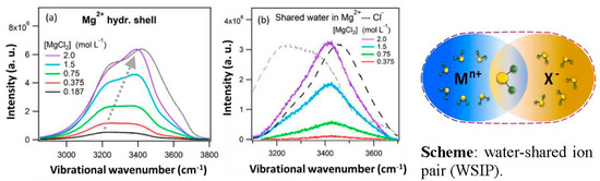 Vibrational Raman Spectroscopy of the Hydration Shell of Ions