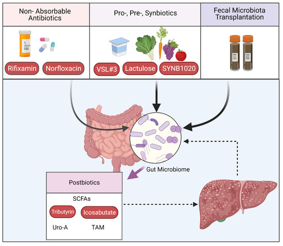 Targeting Gut–Liver Axis for Treatment of Liver Fibrosis and Portal ...
