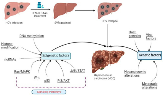 Role of Genetic and Epigenetic Modifications in the Progression of ...