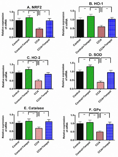 Tempol Alters Antioxidant Enzyme Function, Modulates Multiple Genes ...