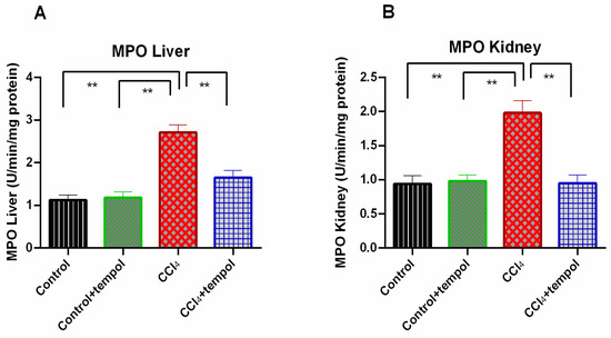 Tempol Alters Antioxidant Enzyme Function, Modulates Multiple Genes ...
