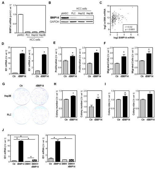 Expression of Bone Morphogenetic Protein 14 in Liver Disease and Cancer
