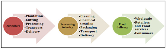 Roles of Technology in Improving Perishable Food Supply Chains