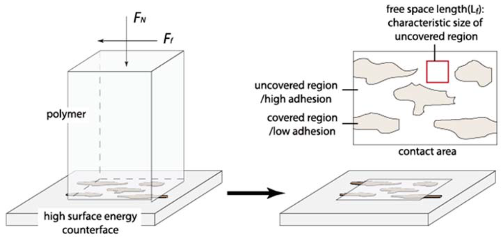 A Review of Transfer Films and Their Role in Ultra-Low-Wear Sliding of ...