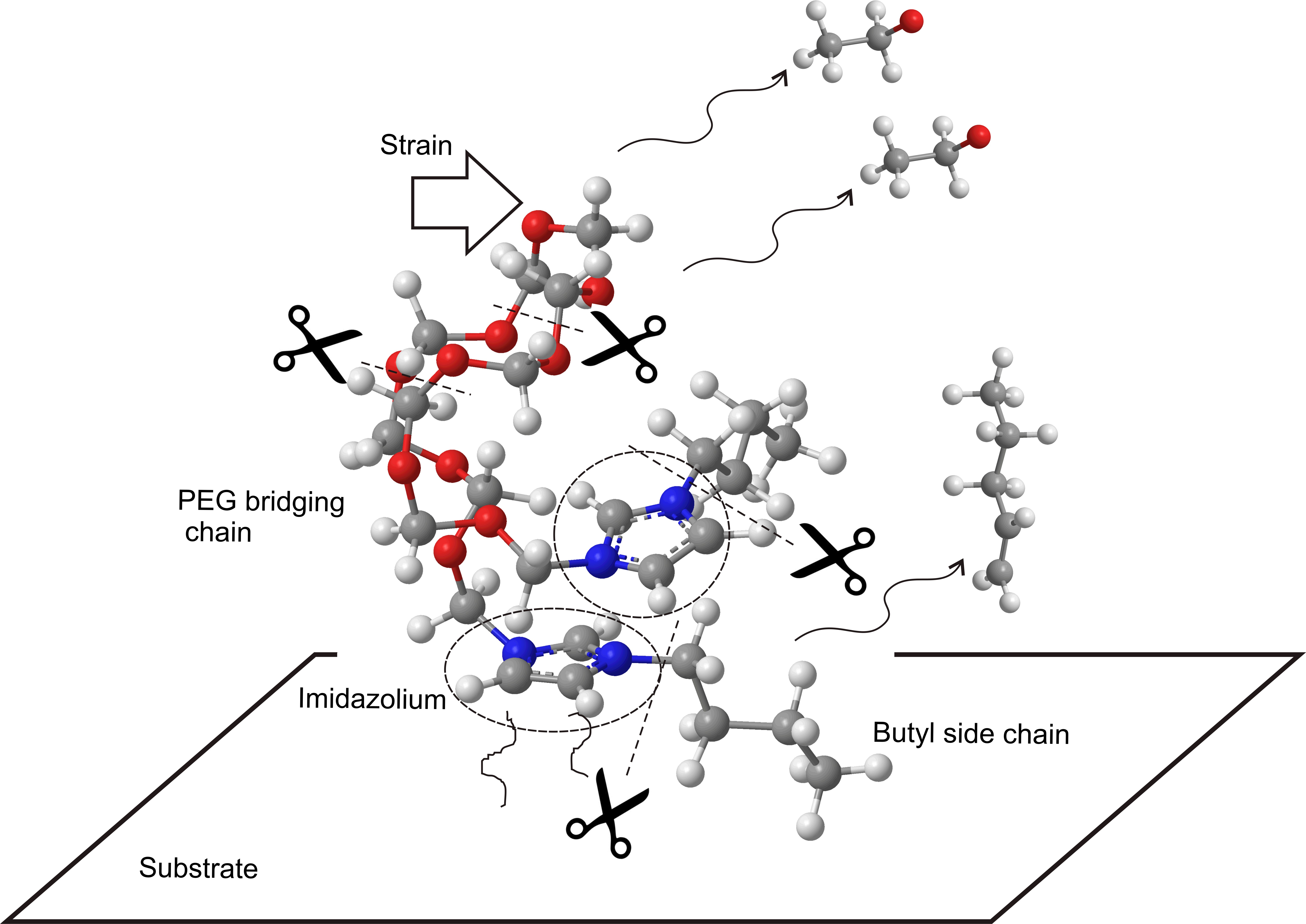 Lubricants | Free Full-Text | Time-Resolved Characterization of Dynamic Tribochemical Processes ...