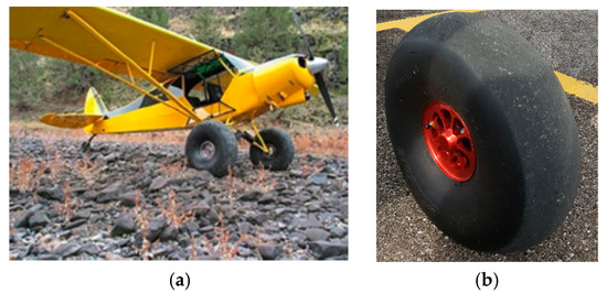 Characterization and Simulation of a Bush Plane Tire