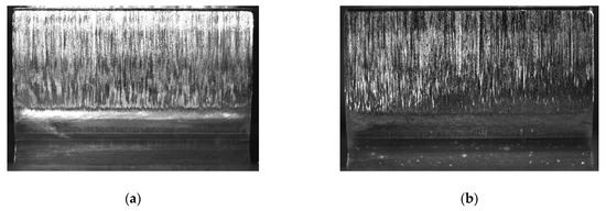 Investigations on the Scuffing and Wear Characteristic Performance of ...