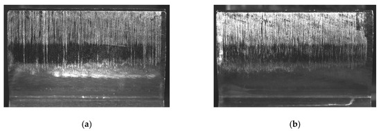 Investigations on the Scuffing and Wear Characteristic Performance of ...