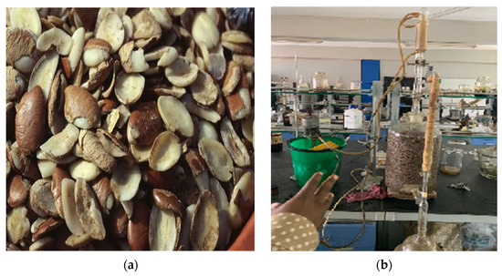 Evaluation of Mango Kernel Seed (Mangifera indica) Oil as Cutting Fluid ...