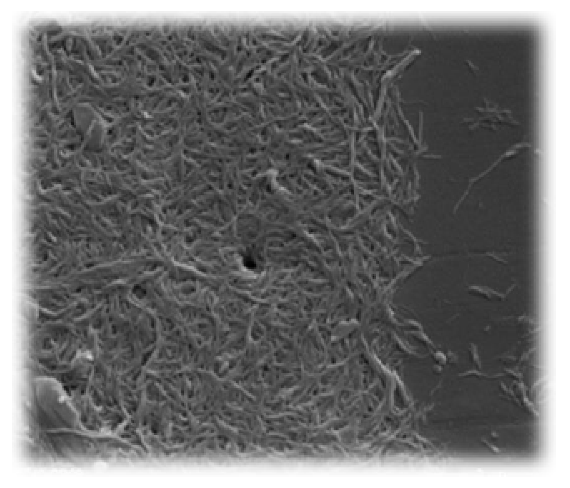 Influence of Mechanical, Thermal, Oxidative and Catalytic Processes on ...