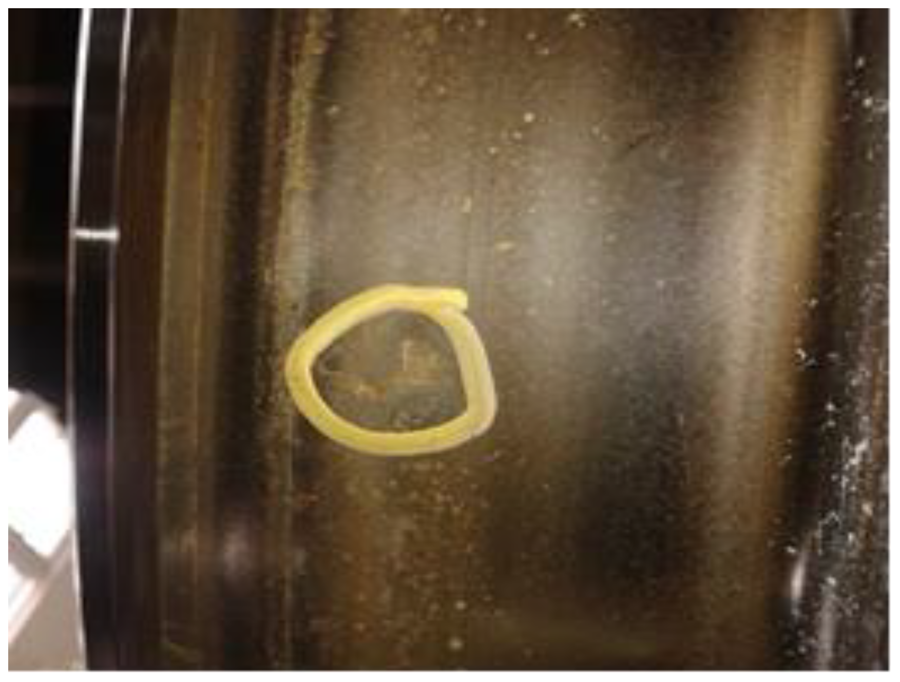 Lubricants | Free Full-Text | Research Progress of High-Speed Wheel ...