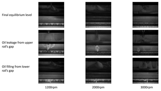 Lubricants | Free Full-Text | Effect of Blowby on the Leakage of the ...
