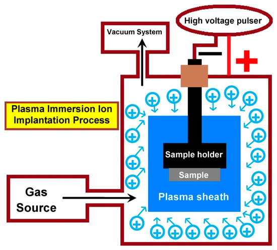 Improved In Vitro and In Vivo Corrosion Resistance of Mg and Mg Alloys ...