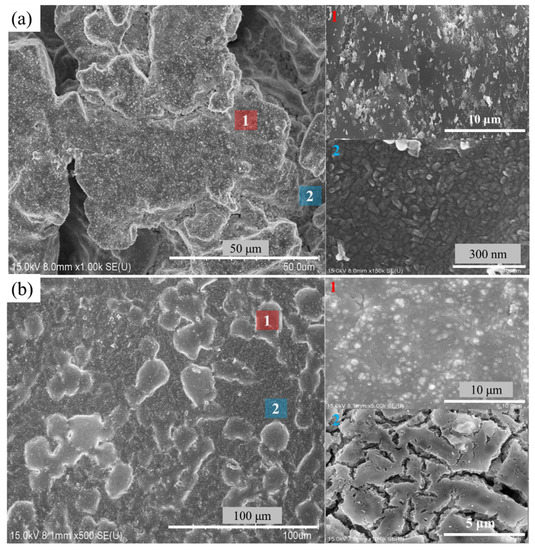 Study on the Performance and Corrosion Failure Process of Porous ...