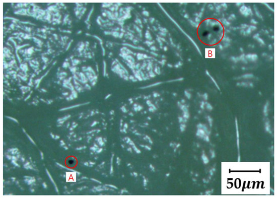 A Study on the Skin Adhesion Test of Fine Particles by Brake Pad Friction