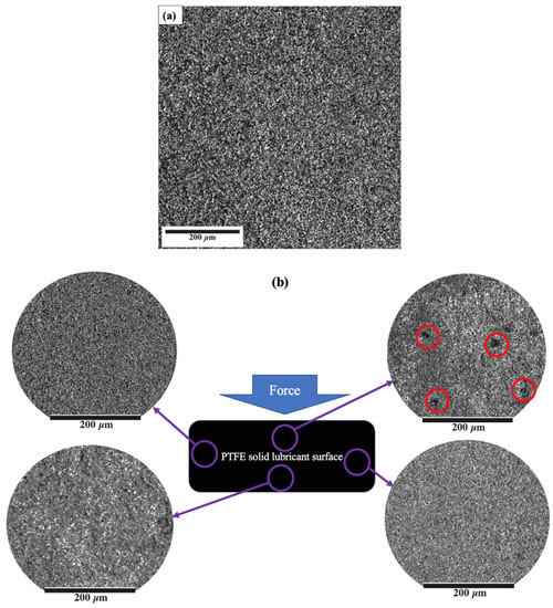 Comparative Evaluation of the Shear Adhesion Strength of Ice on PTFE ...