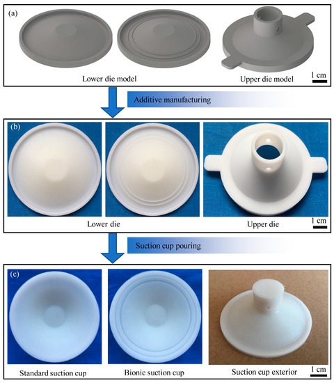 Bionic Ring Grooves Design and Experiment of the Suction Cup Applied in ...