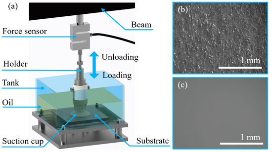 Bionic Ring Grooves Design and Experiment of the Suction Cup Applied in Oil-Immersed Substrate