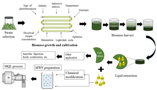 Lubricants | Free Full-Text | Microalgae Oil-Based Metal Working Fluids for Sustainable Minimum ...