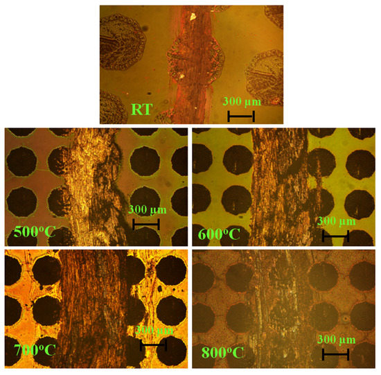 High-Temperature Superlubricity Performance of h-BN Coating on the ...