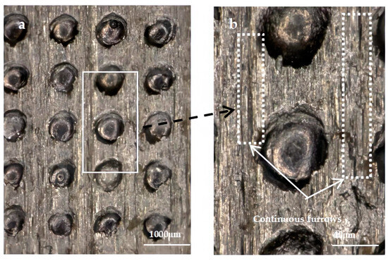 Anti-Wear Property of Laser Textured 42CrMo Steel Surface