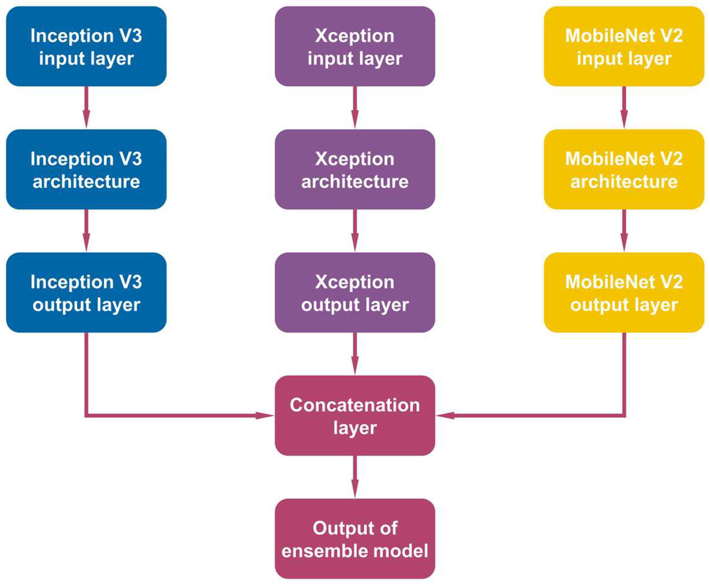 Ensemble Deep Learning for Wear Particle Image Analysis