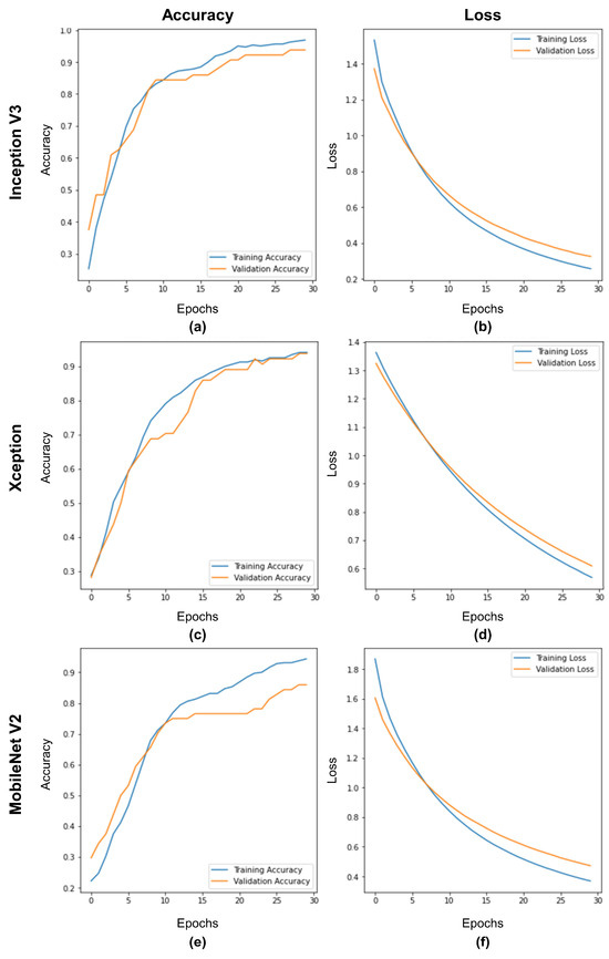 Ensemble Deep Learning For Wear Particle Image Analysis
