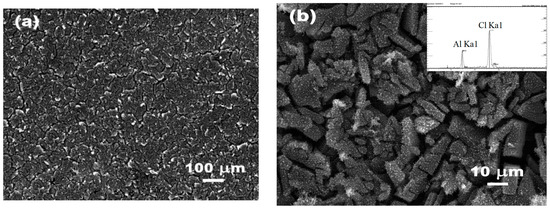 Tribological Property of Al3BC3 Ceramic: A Lightweight Material