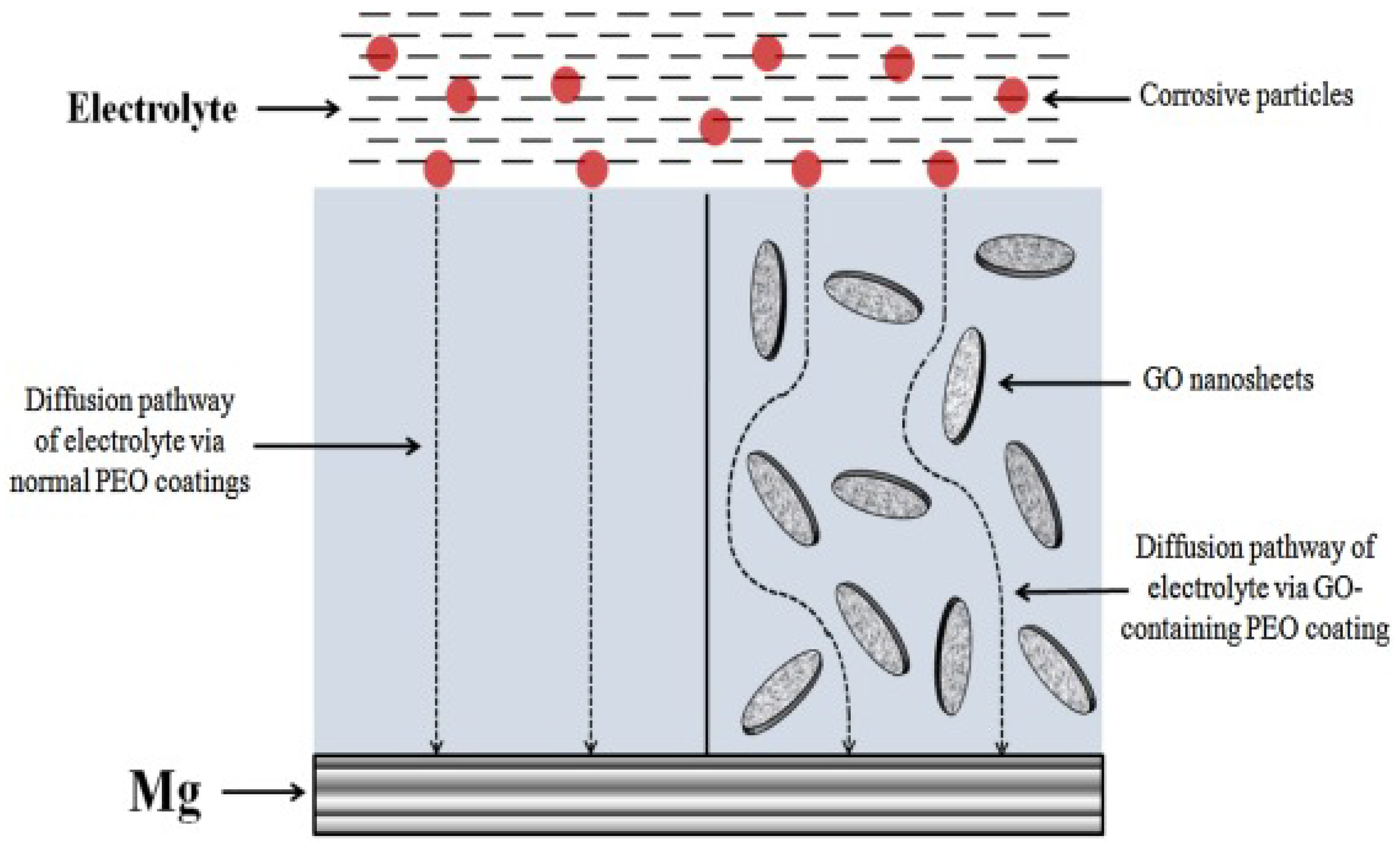 Unveiling the Effect of Particle Incorporation in PEO Coatings on the ...