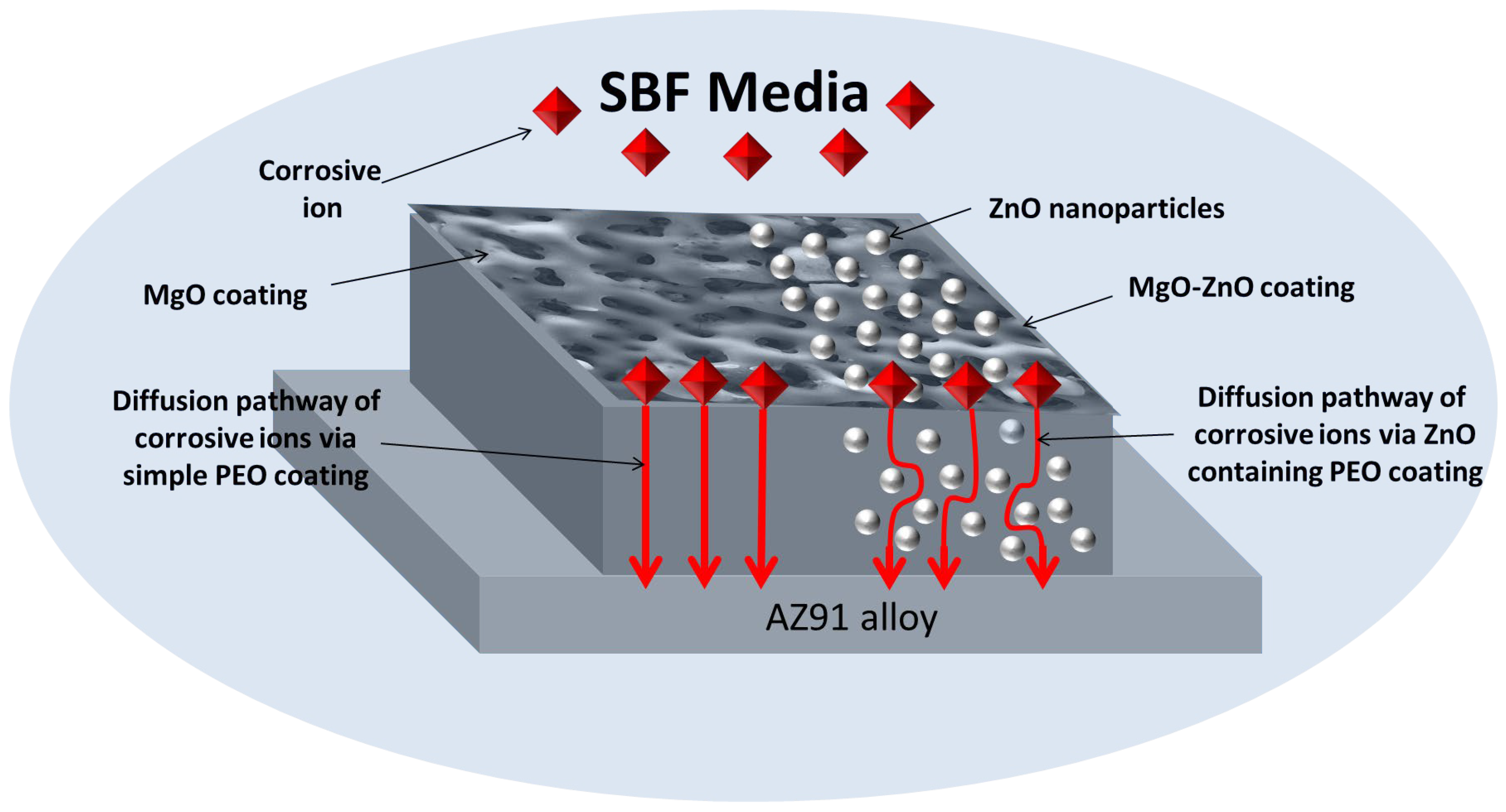Unveiling the Effect of Particle Incorporation in PEO Coatings on the ...
